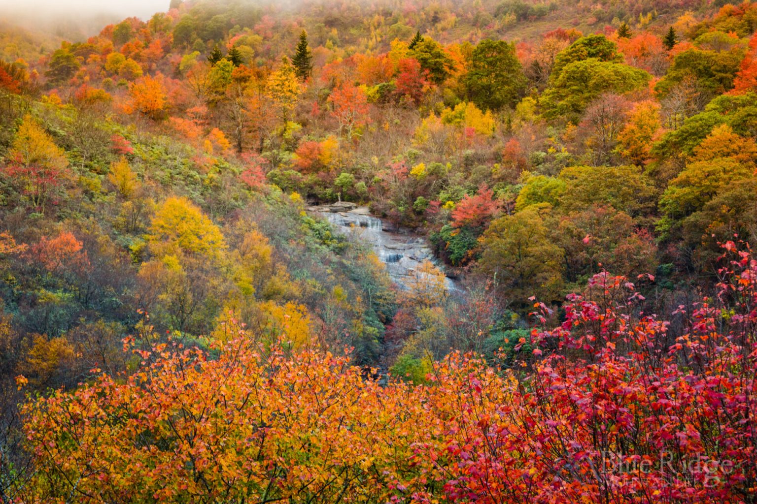 Fall Color Reports for Great Smoky Mountains | Smokies Life