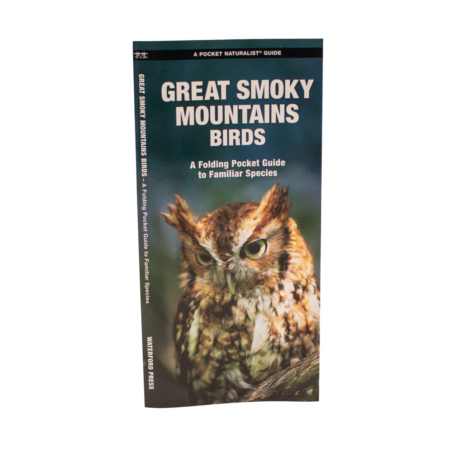 Great Smoky Mountains Birds: A Folding Pocket Guide to Familiar Species ...