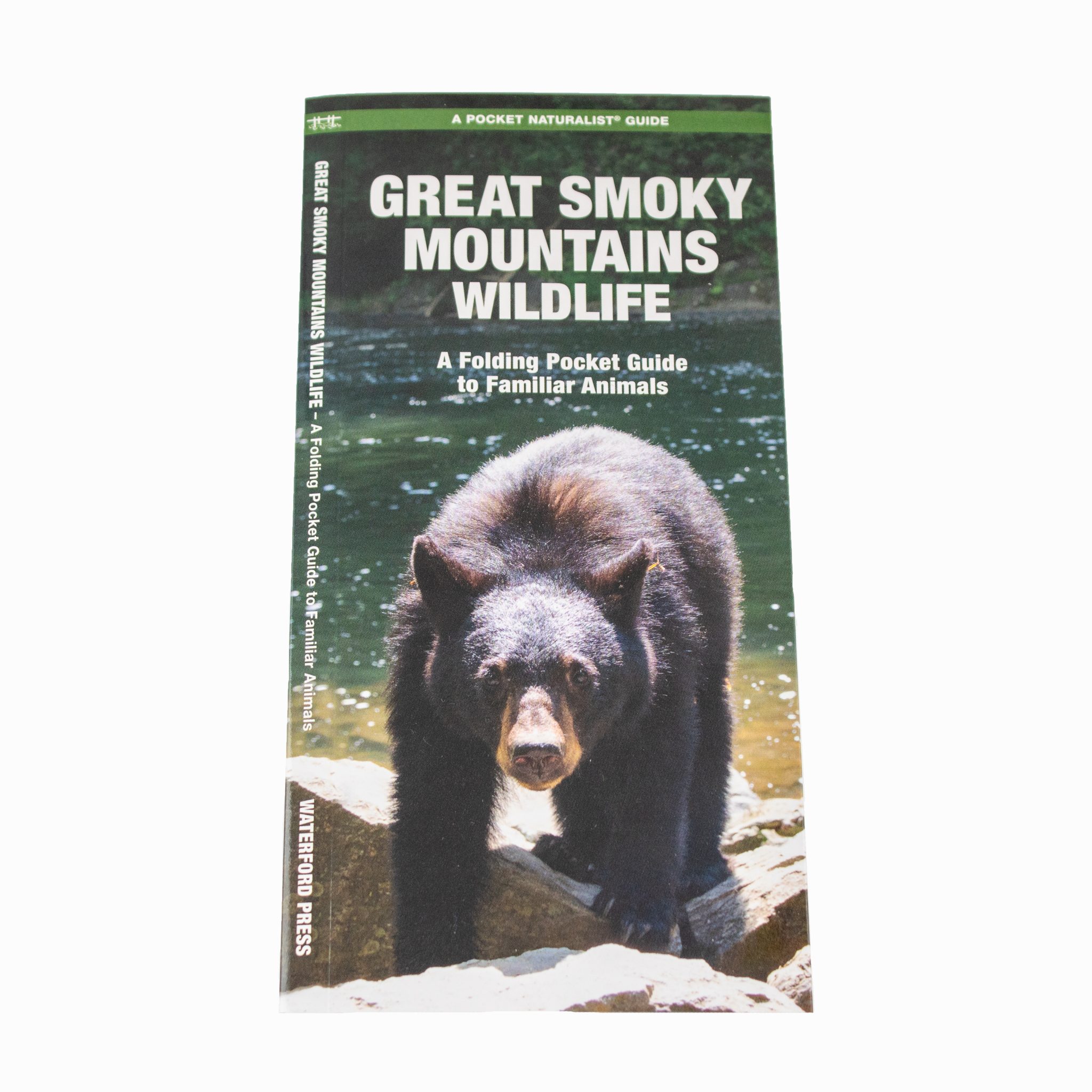 Great Smoky Mountains Wildlife: A Folding Pocket Guide to Familiar ...