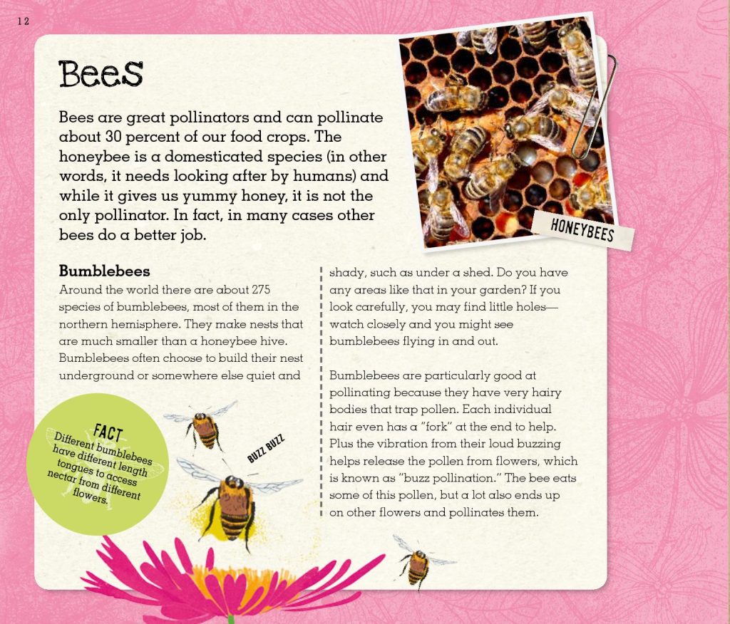 Bees, Bugs & Butterflies | Smokies Life