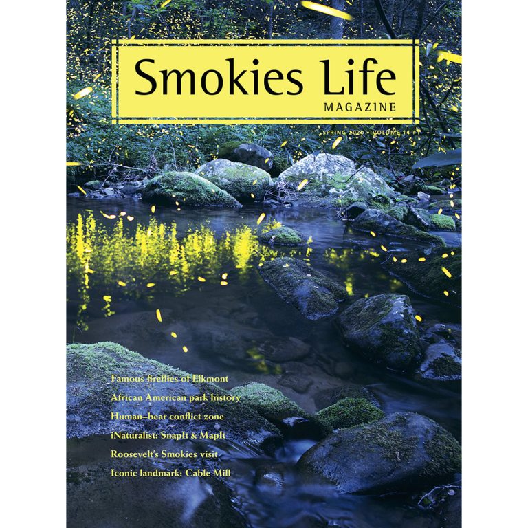 Annual Parking Tag | Smokies Life