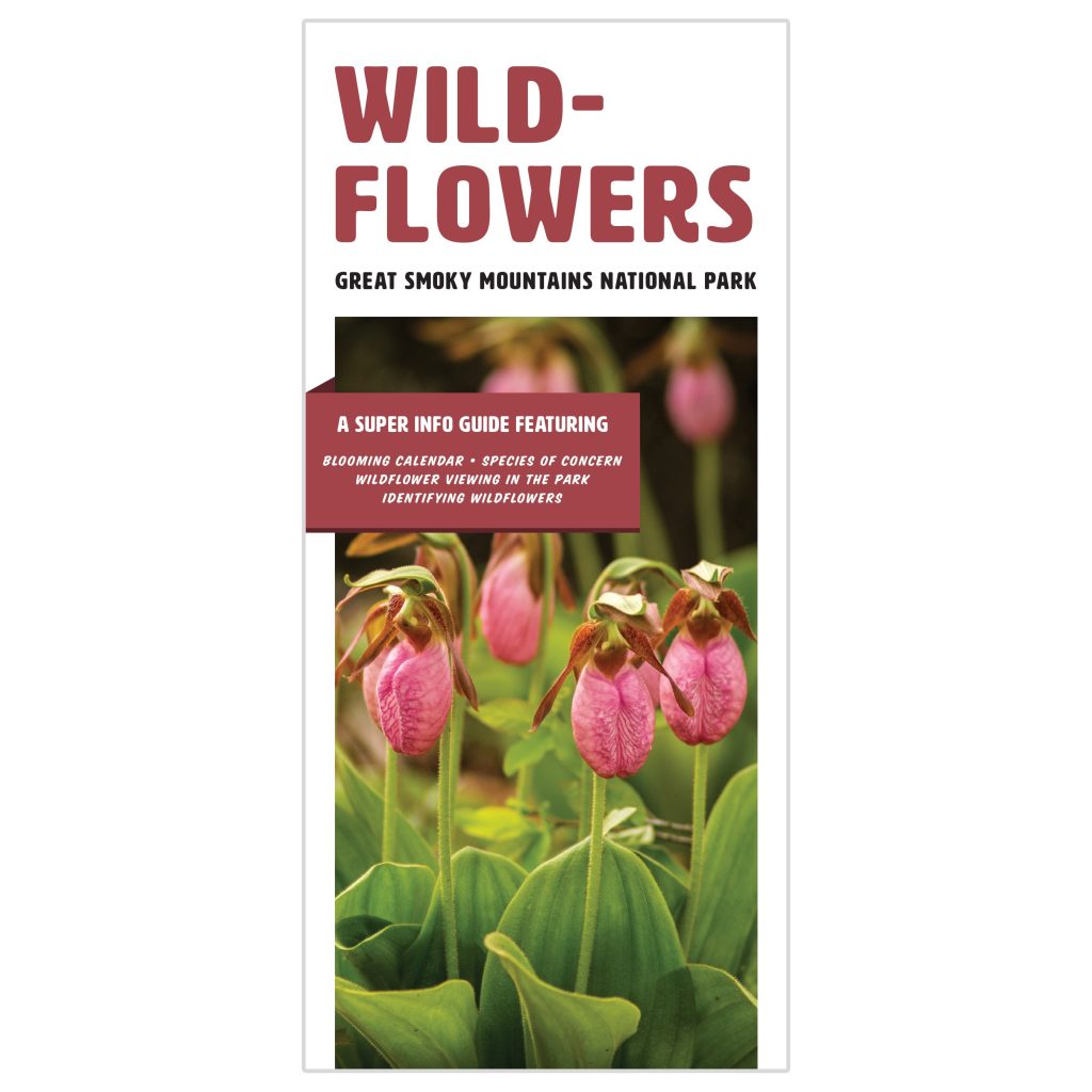Super Info: Wildflowers Great Smoky Mountains National Park | Smokies Life