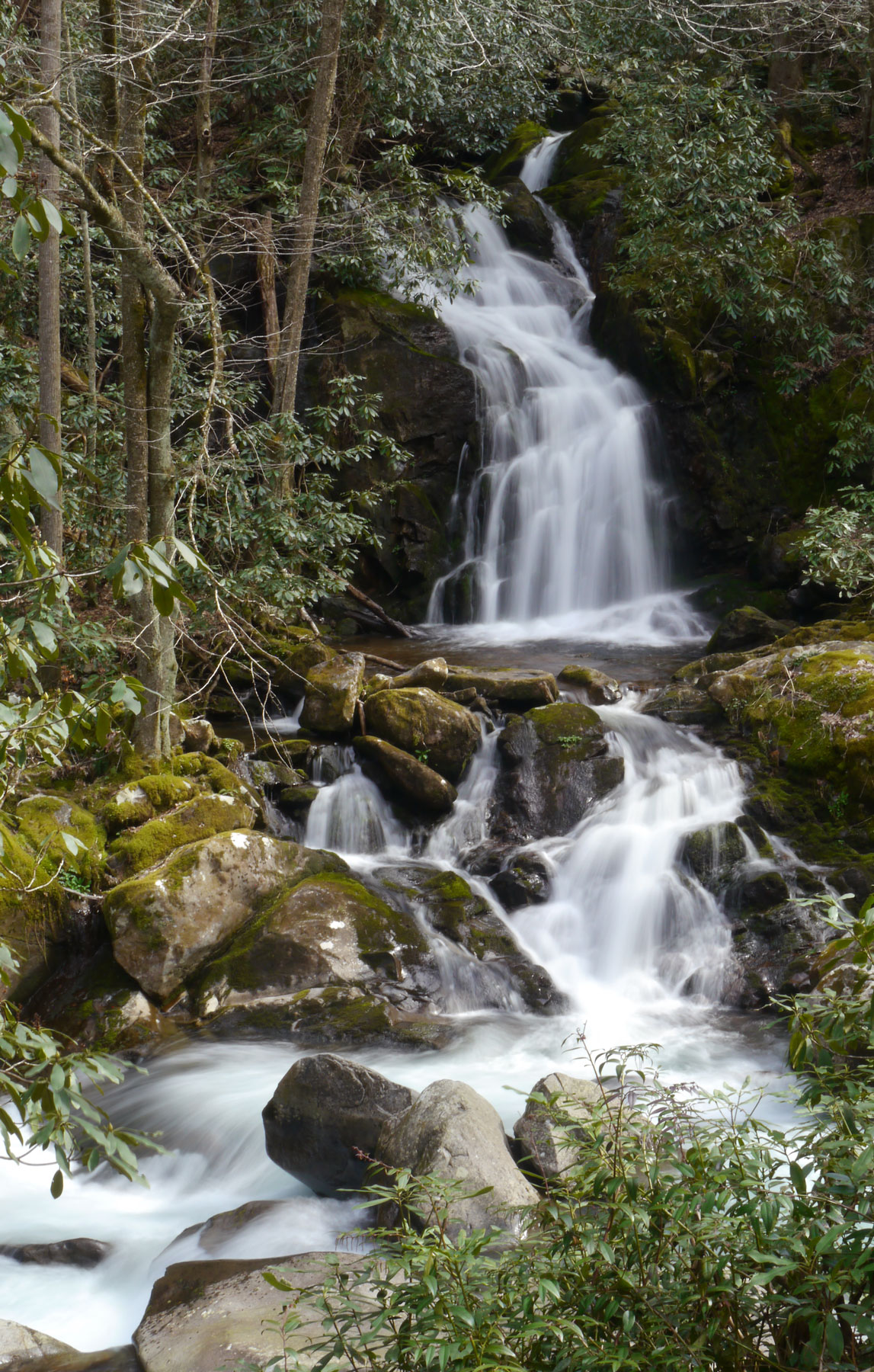 Smokies LIVE: Trailside Talk: The wonder of falling water