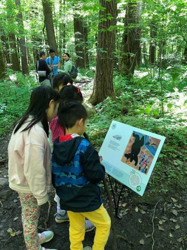 Bilingual Storybook Trails in the Smokies for the Summer