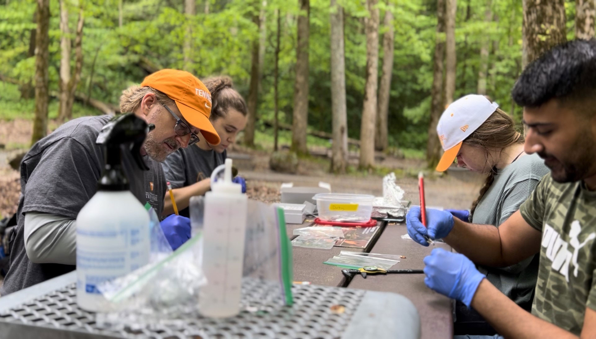 Smokies LIVE: An annual checkup for salamanders