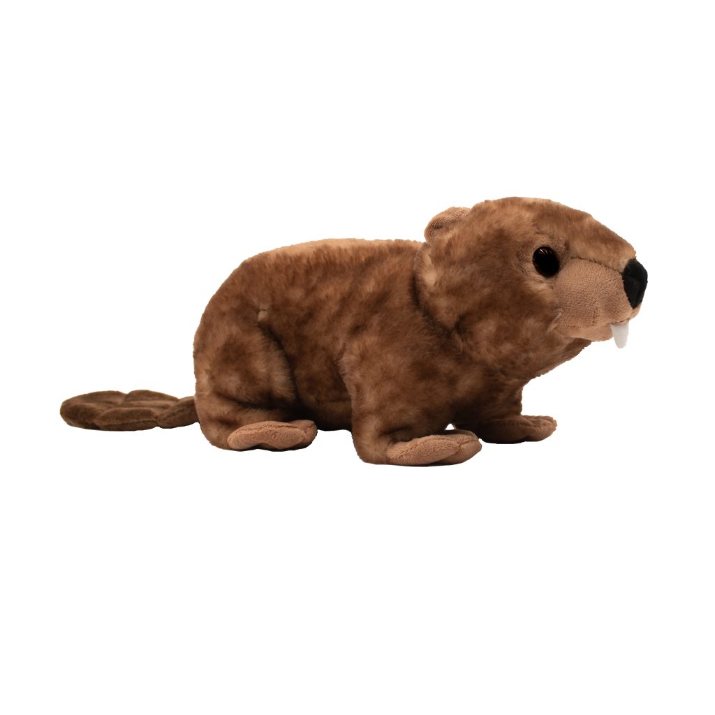 Beaver Plush Toy 12" | Smokies Life