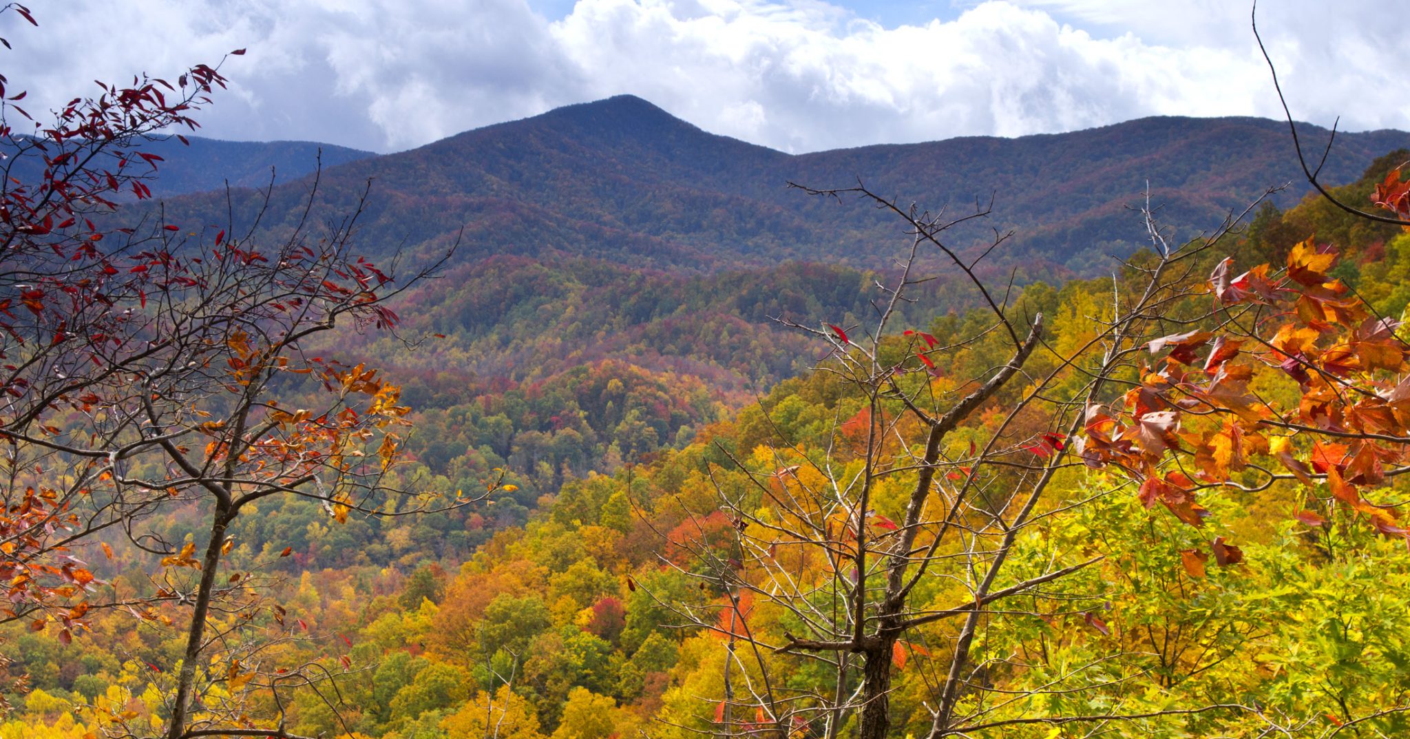 2020 FALL COLORS | Smokies Life