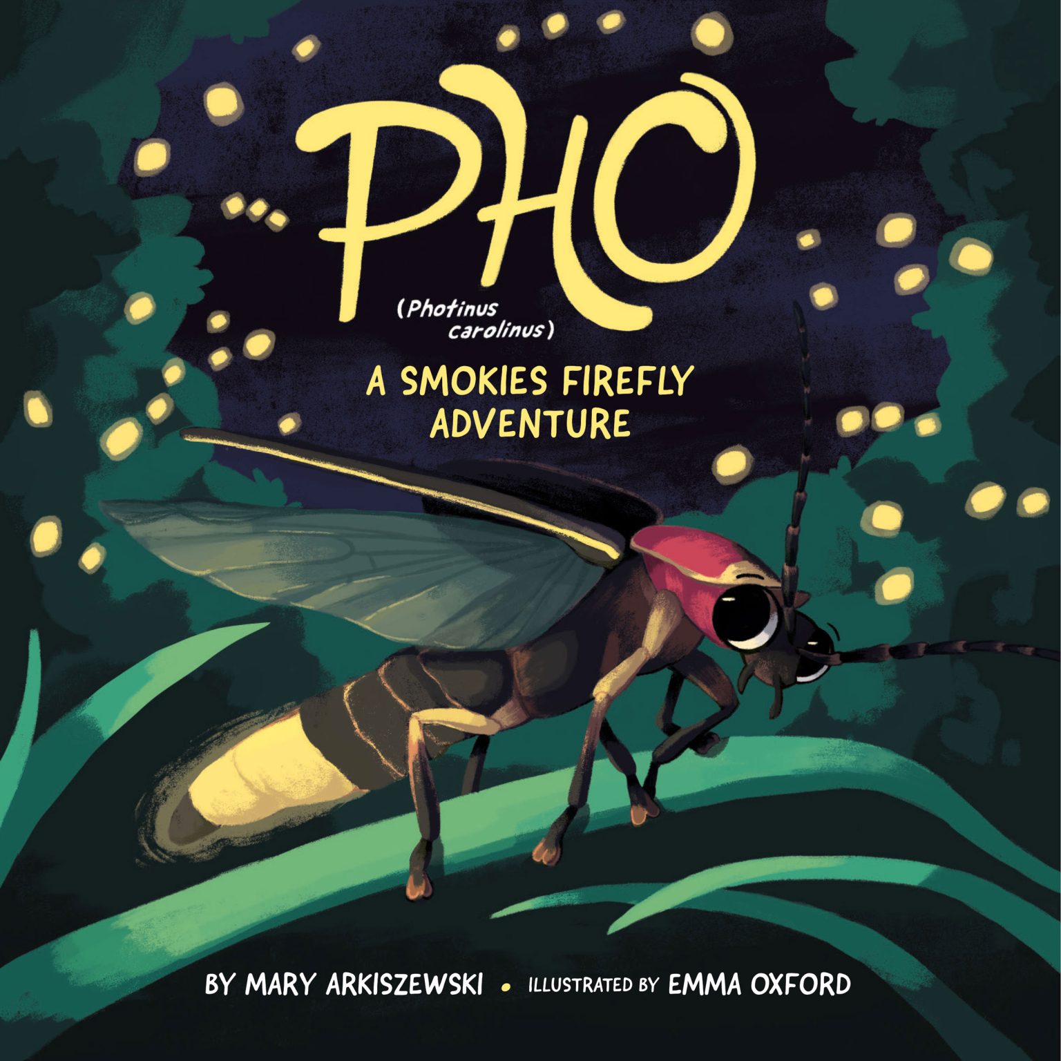 New children's book explores mysterious world of fireflies