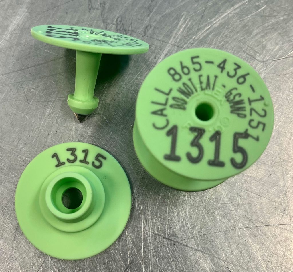 Decoding bear ear tags