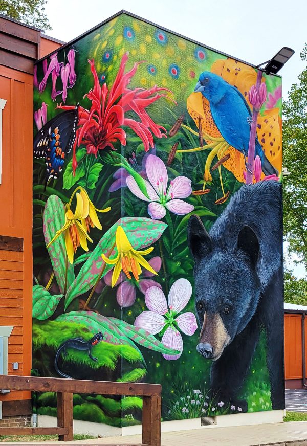 Smokies LIVE: New mural illustrates Smokies species in living color