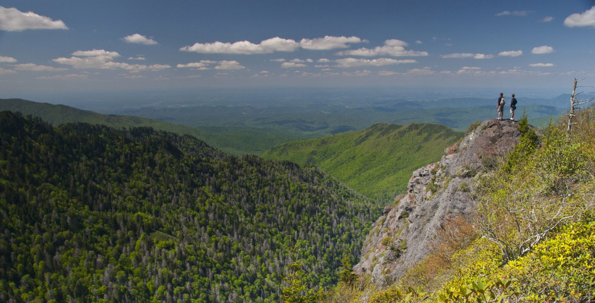 Great Smoky Mountains Association is now Smokies Life