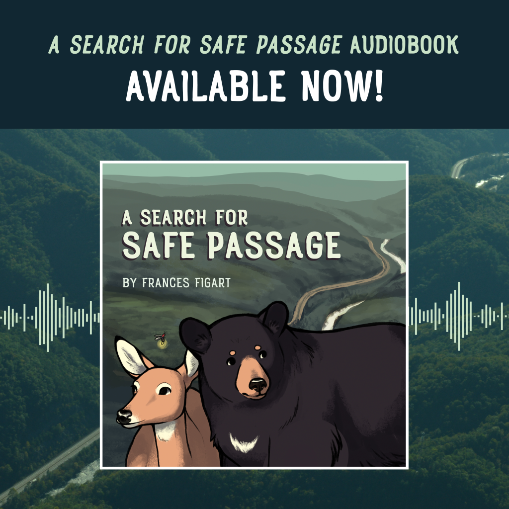 A Search for Safe Passage | Smokies Life