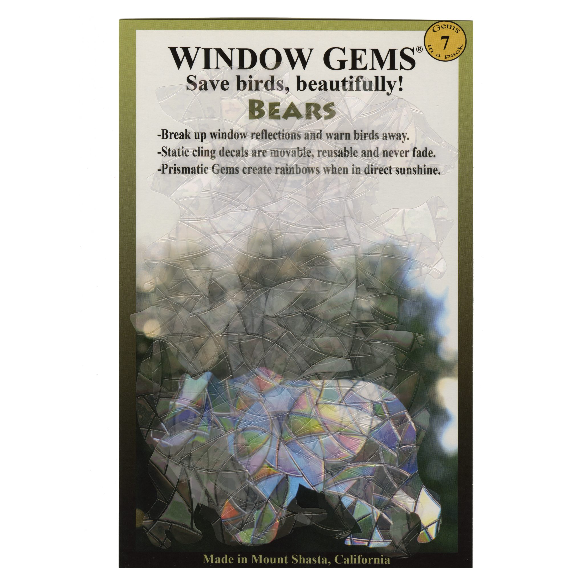 Smokies Life Bear Window Gems