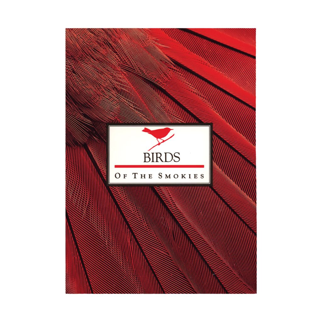 Smokies Life Birds of the Smokies | Smokies Life