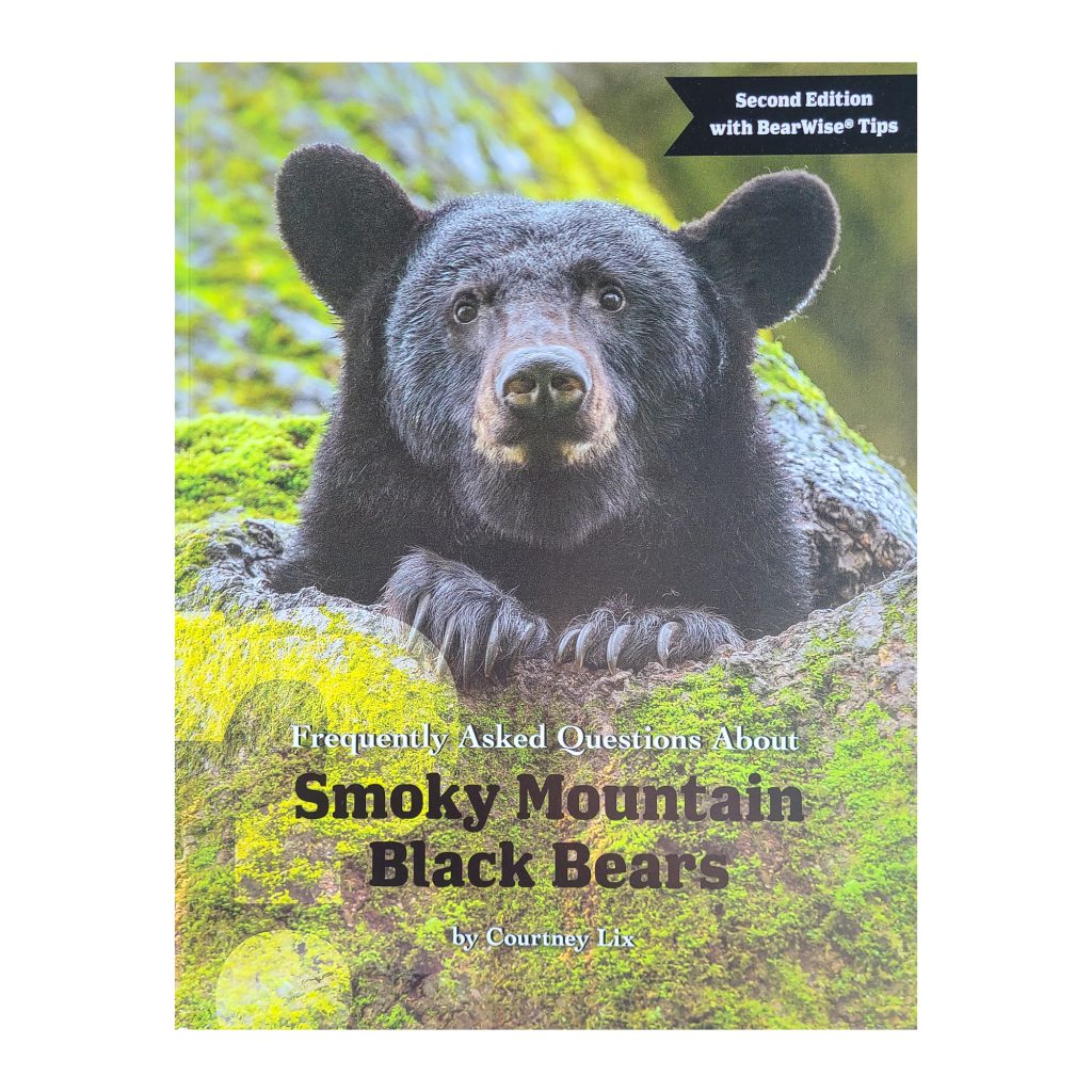 Frequently Asked Questions About Smoky Mountain Black Bears | Smokies Life