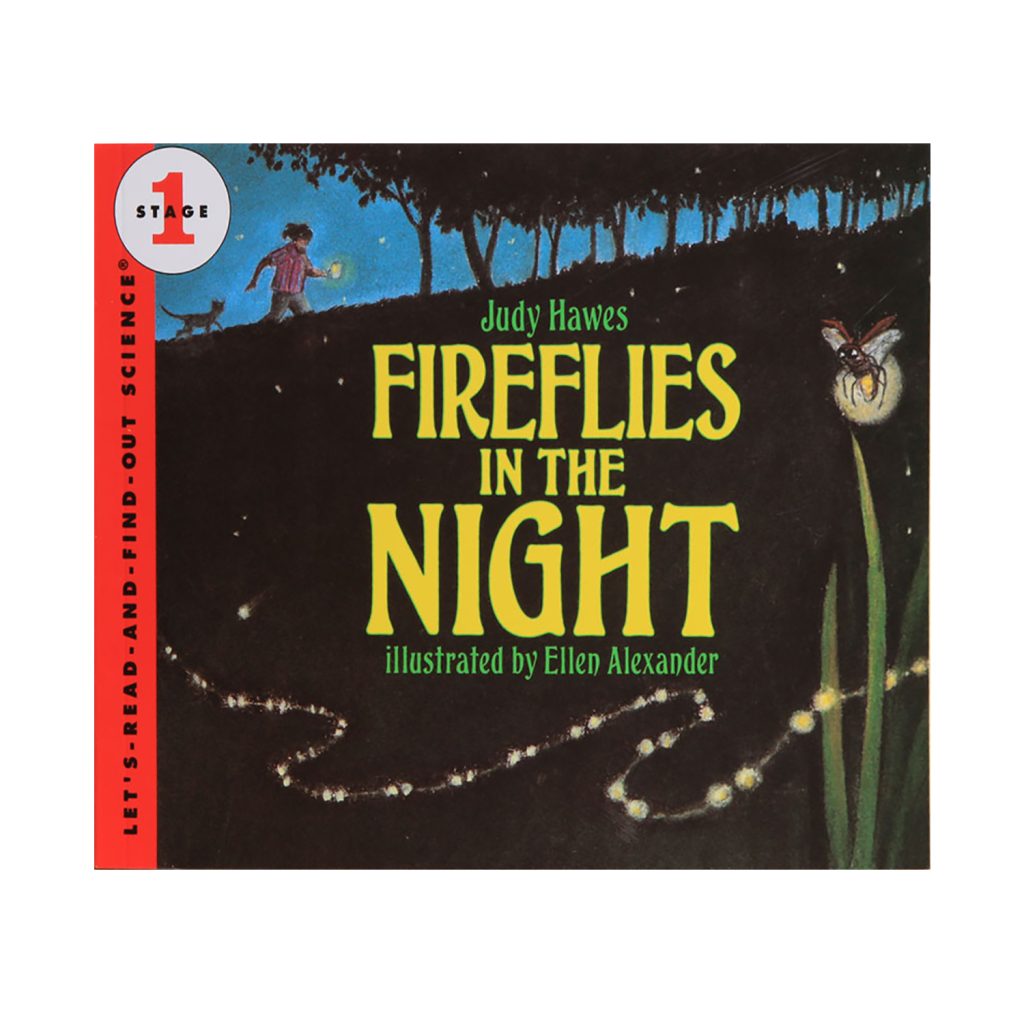 Fireflies in the Night | Smokies Life