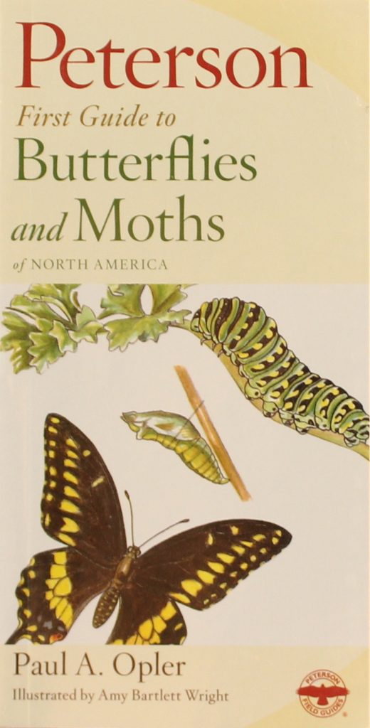 Peterson First Guides: Butterflies and Moths - Smokies Life