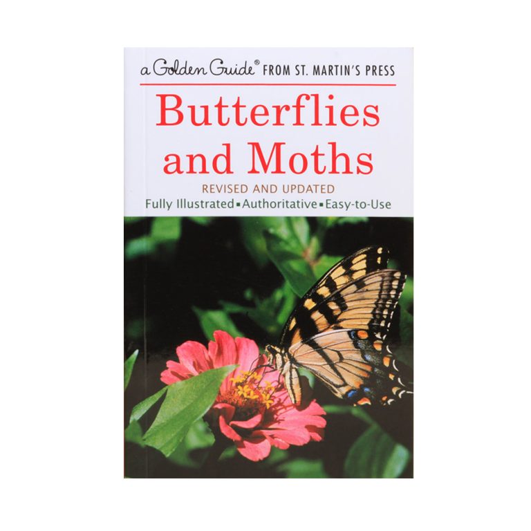 A Golden Guide to Butterflies and Moths | Smokies Life