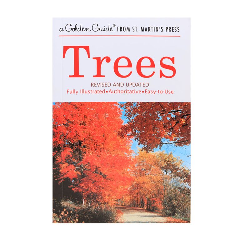 A Golden Guide to Trees | Smokies Life
