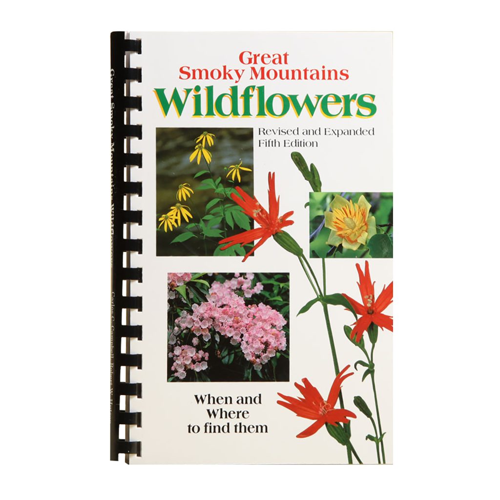 Great Smoky Mountains Wildflowers: When & Where to Find Them | Smokies Life