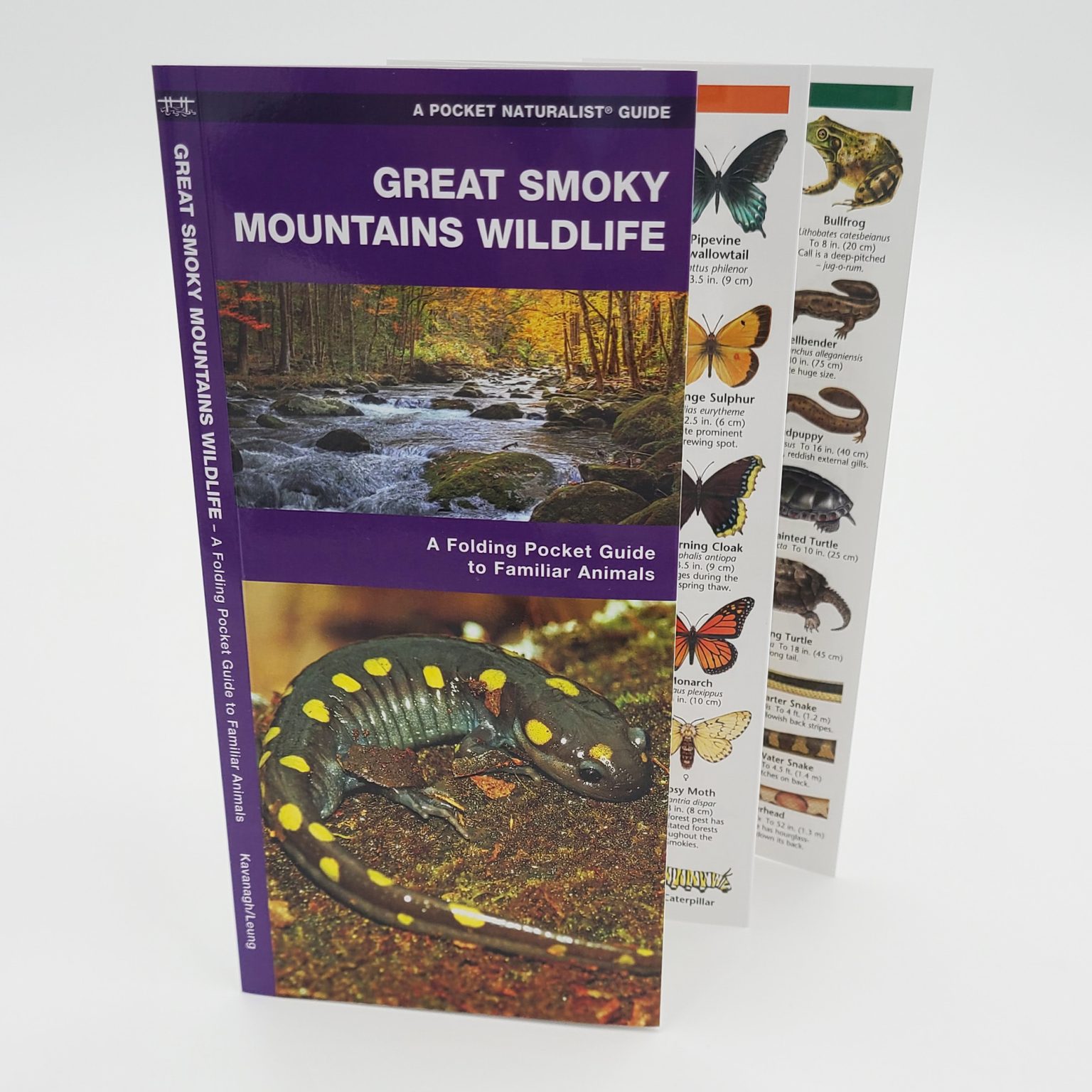 Great Smoky Mountains Wildlife: A Folding Pocket Guide to Familiar Animals - Smokies Life