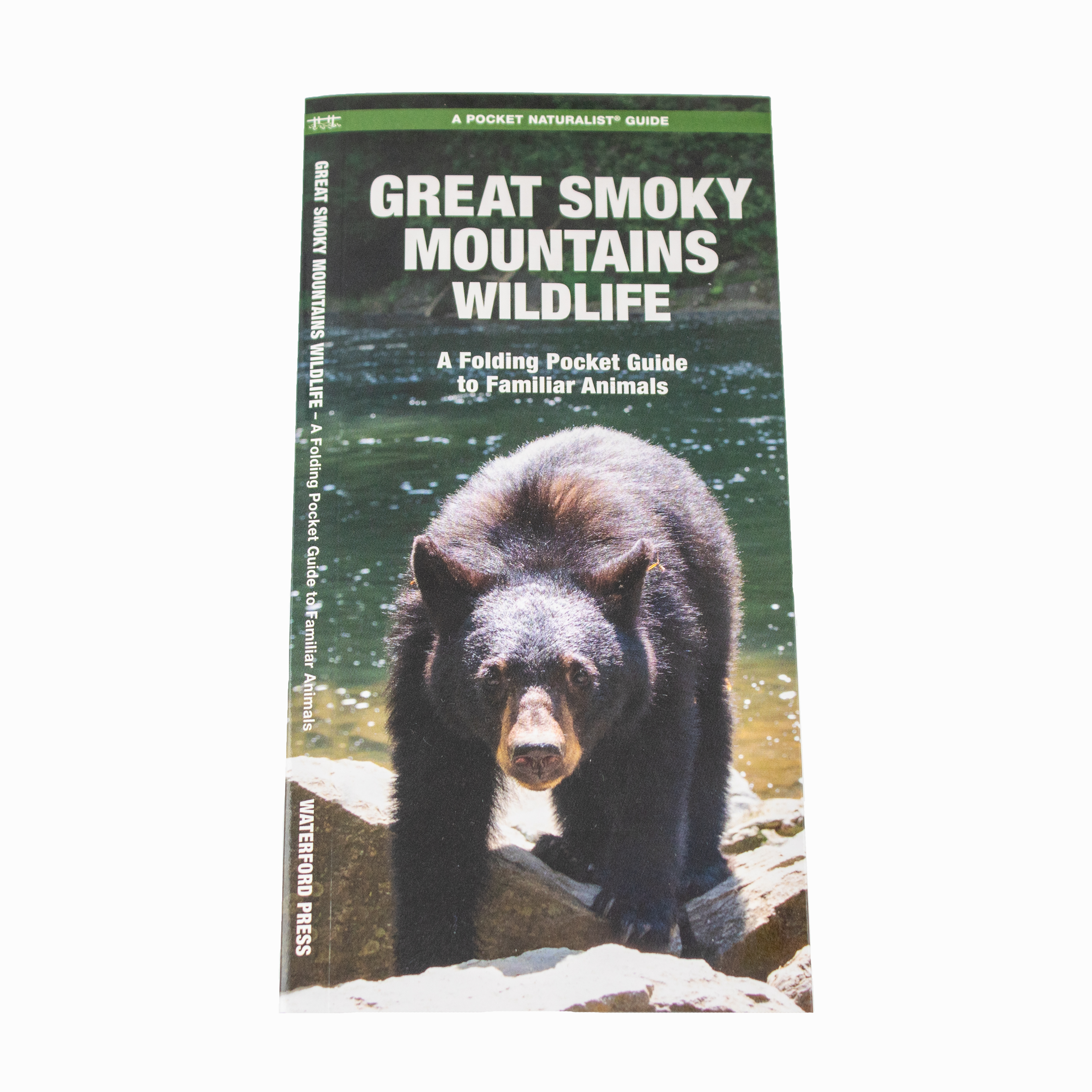Great Smoky Mountains Wildlife: A Folding Pocket Guide to Familiar ...