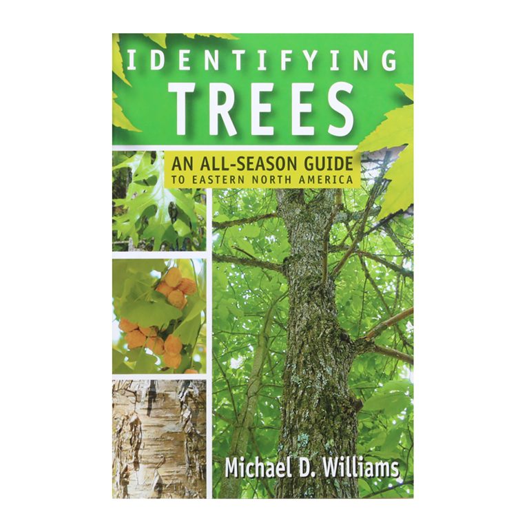 Identifying Trees: An All-Season Guide to Eastern North America ...