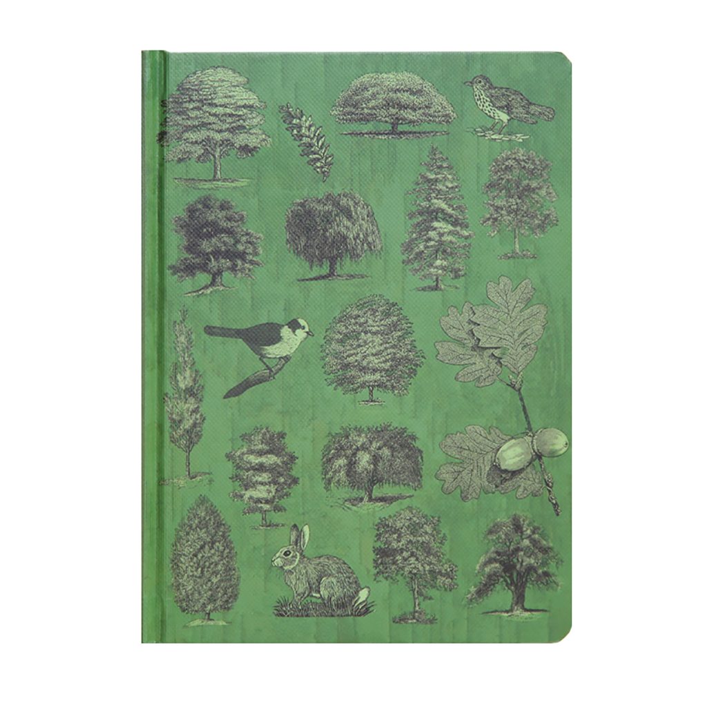 Illustrated Nature Journal | Smokies Life