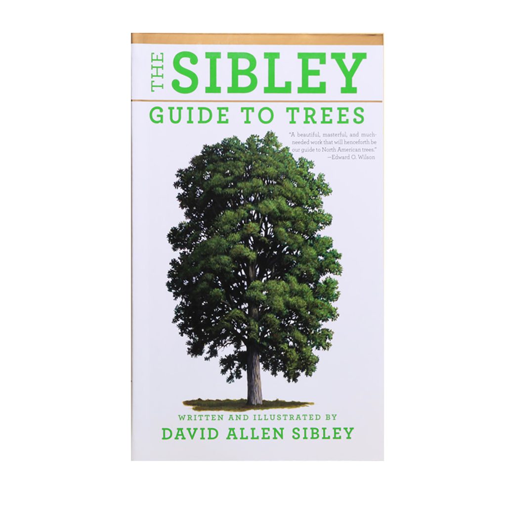 Sibley Field Guide to Trees | Smokies Life