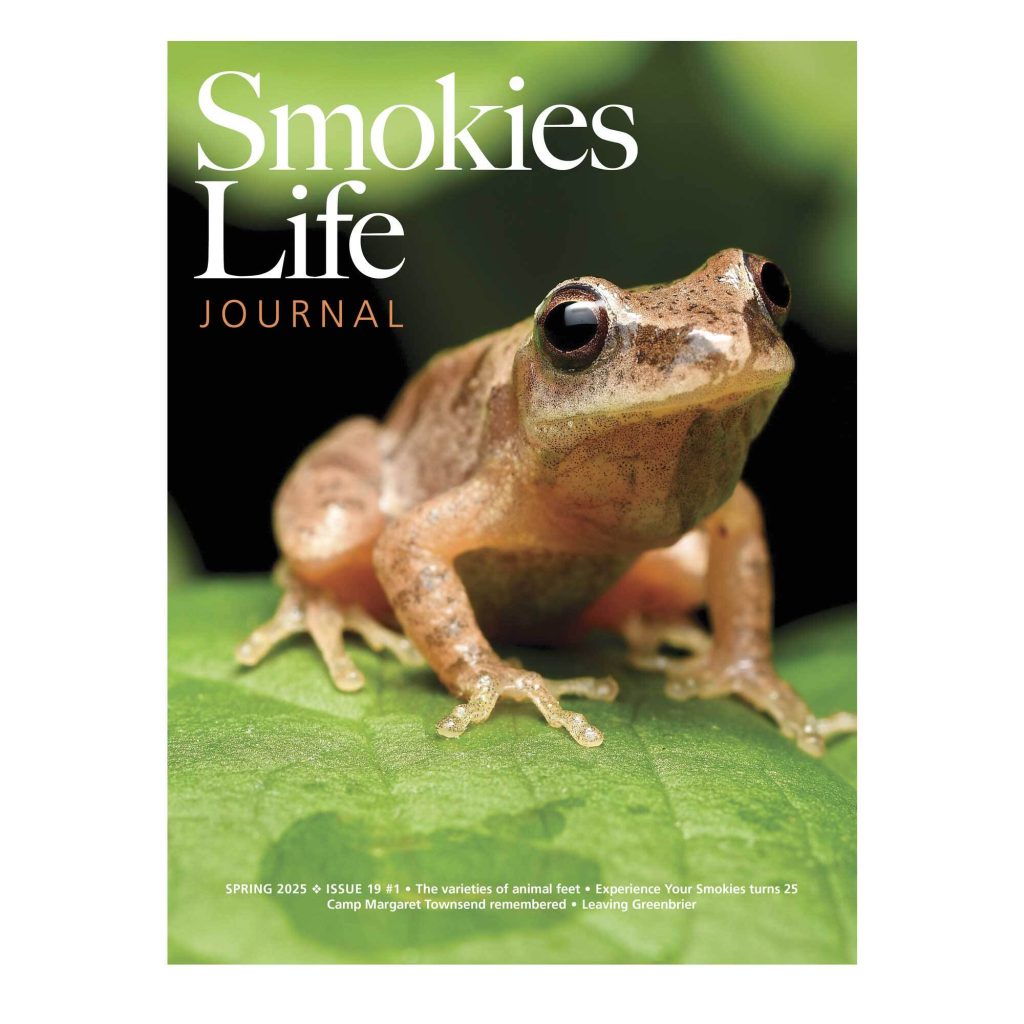 Great Smoky Mountains Association is now Smokies Life