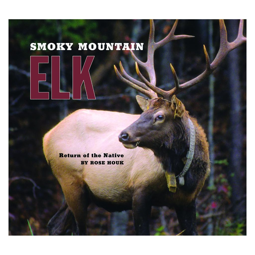 Smoky Mountain Elk: Return of the Native | Smokies Life